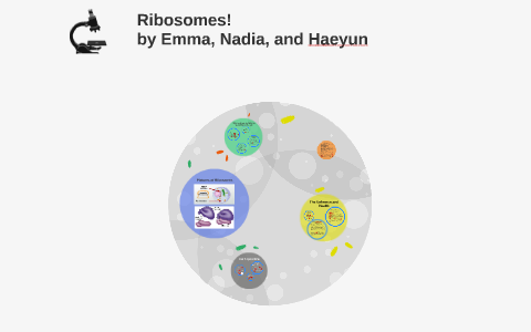 Ribosomes! by George Palade on Prezi