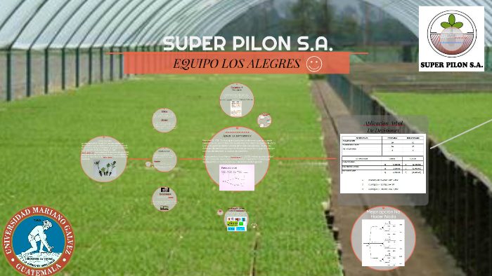 SUPER PILON S.A. by Miriam Haydee Toledo on Prezi
