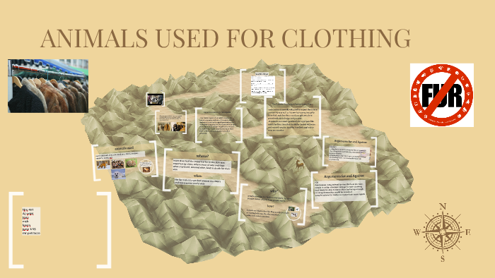 ANIMALS USED FOR CLOTHING by aj rabit on Prezi
