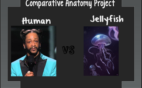 Comparative Anatomy Project by jamica wheelous on Prezi
