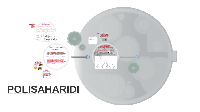 POLISAHARIDI by Ivana Alajbeg on Prezi