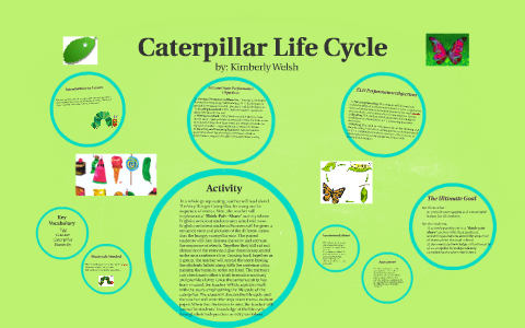 Caterpillar Life Cycle by kimberly welsh on Prezi