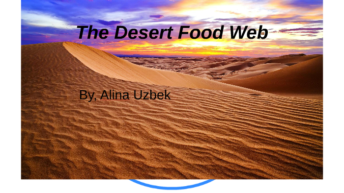 The Desert Food Web by sergey uzbek on Prezi