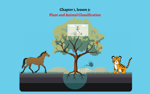 Plant and Animal Classification by alyssa tougas on Prezi