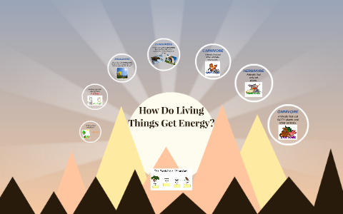 How Do Living Things Get Energy? by Jarrett Miller on Prezi