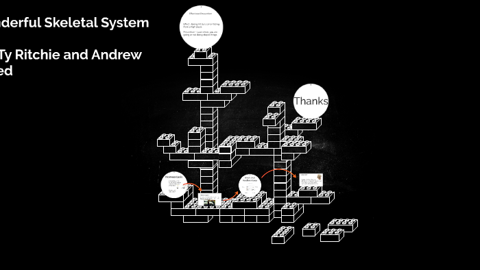 Skeletal System by Ty Ritchie on Prezi