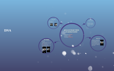 DNA EXTRACTION POWER POINT by Feven Legess on Prezi