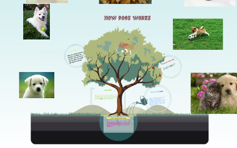 How dogs works by Becca Girard on Prezi