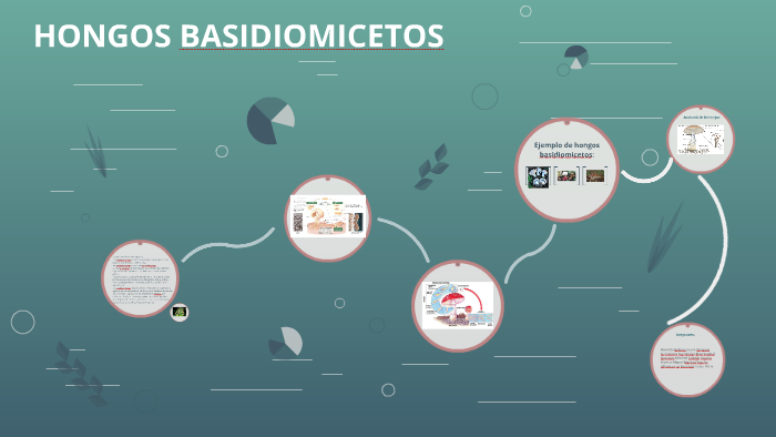 HONGOS BASIDIOMICETOS by Marleni Montes on Prezi