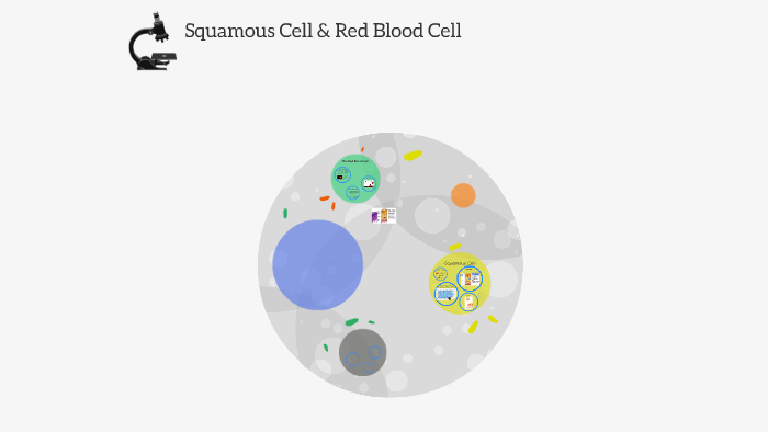 Squamous Cell & Red Blood Cell by marissa m on Prezi