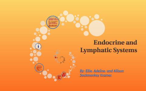 Endocrine and Lymphatic Systems by Ellie Jenkins on Prezi