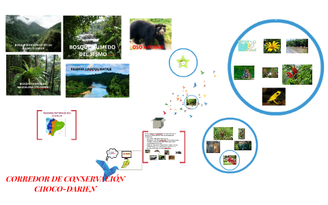 CORREDOR DE CONSERVACIÓN CHOCO-DARIEN by Laura Muñoz on Prezi