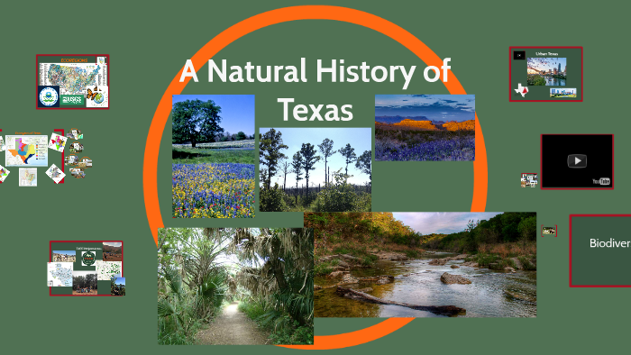 Natural History of Texas by Carlos Leos on Prezi