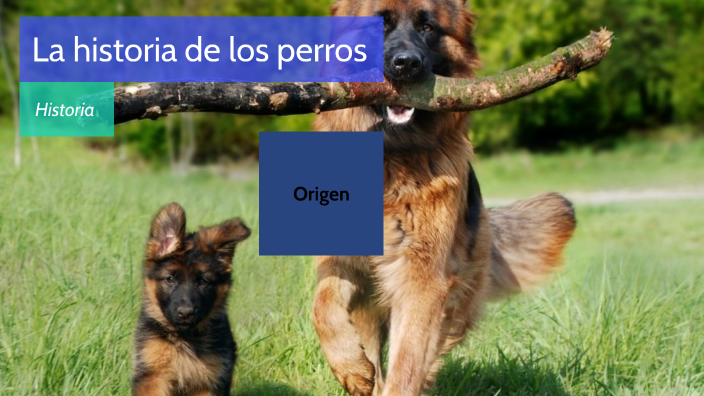 La historia de los perros by Gianfranco Puppo on Prezi