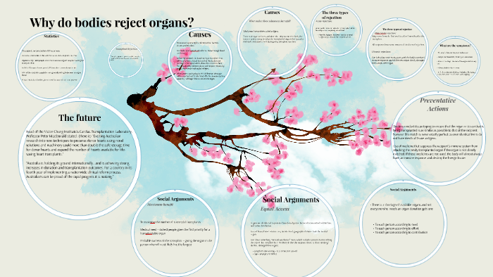 Why do bodies reject organs? by Daina Romeo on Prezi
