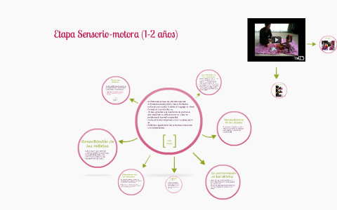 Etapa Sensorio-motora (1-2 años) by Atzhiri Calderon on Prezi