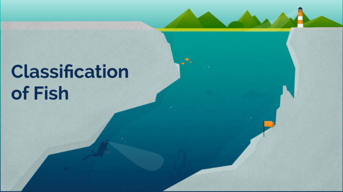 Classification of Fish by Rebekah Sellers on Prezi
