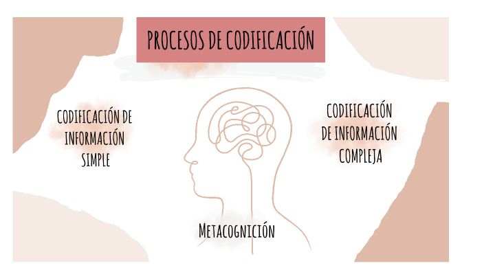 PROCESOS DE CODIFICACIÓN by Lizbeth Ramos Durán on Prezi