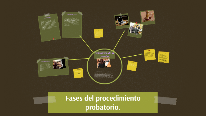 Fases del procedimiento probatorio. by Alibeth Marian Maduro