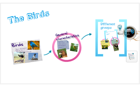 Why the birds do lay eggs? by Andrea Fernández on Prezi