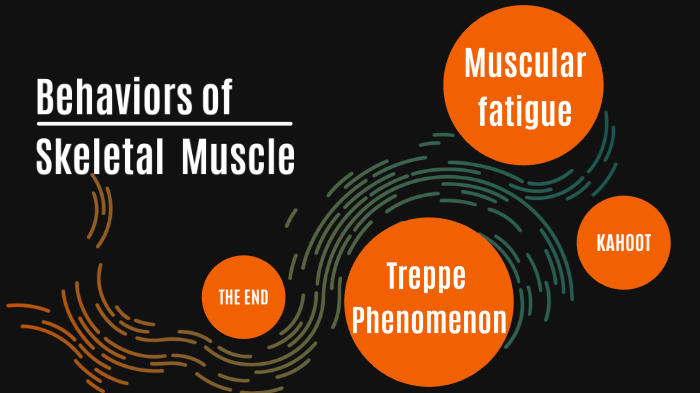 Treppe phenomenon & Muscular fatigue by Boonjuti Khueankham on Prezi
