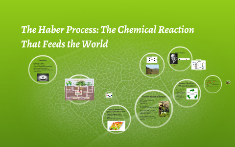 The Haber Process: The Chemical Reaction That Feeds the Worl by Liz ...