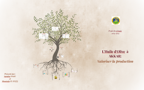 Projet Fin d'Etude by sandra daou on Prezi