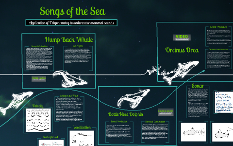 Underwater Songs of the Sea by Elysia Gomez on Prezi