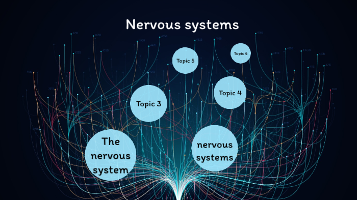 nervous system by tristen simon on Prezi
