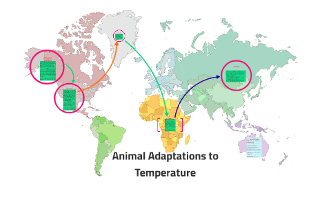 OPE- Animal Adaptations to Temperature by Sky Falcon on Prezi