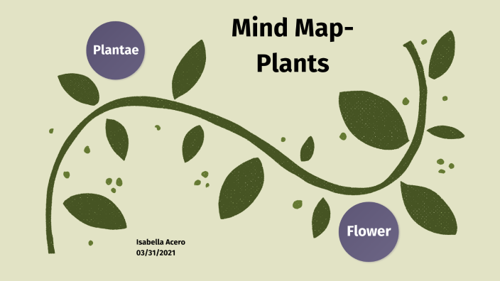 Mind Map Plants by Carla Acero on Prezi