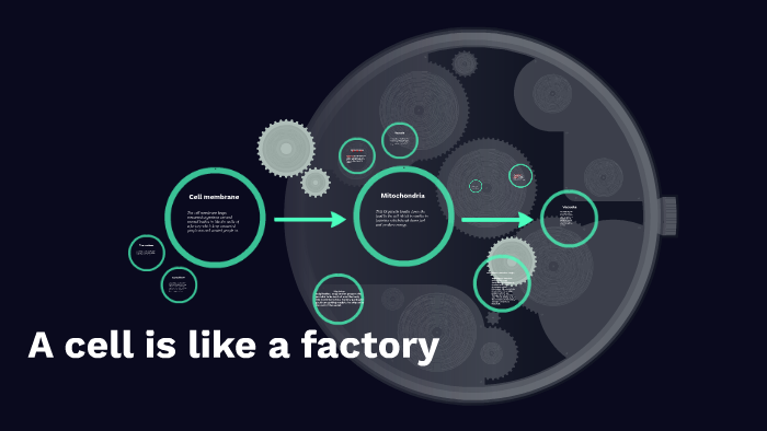 A cell is like a factory by Greg Fishman