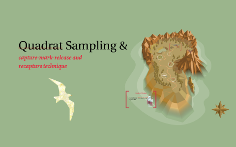 Quadrat Sampling by Shannon Yeong on Prezi