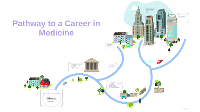 Pathway to a Career in Medicine (Timeline) by avery perreault on Prezi