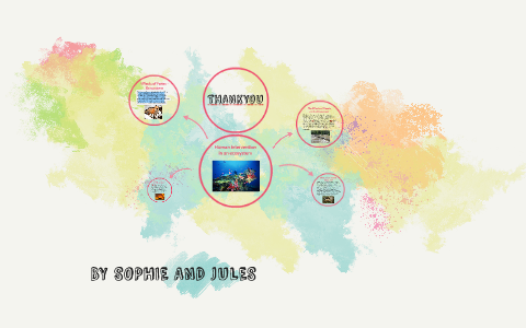 Human intervention in an ecosystem by Juliette Scott on Prezi