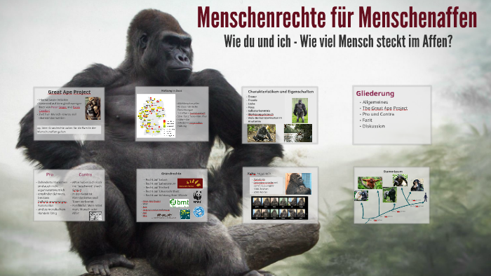 -- by lia winston on Prezi