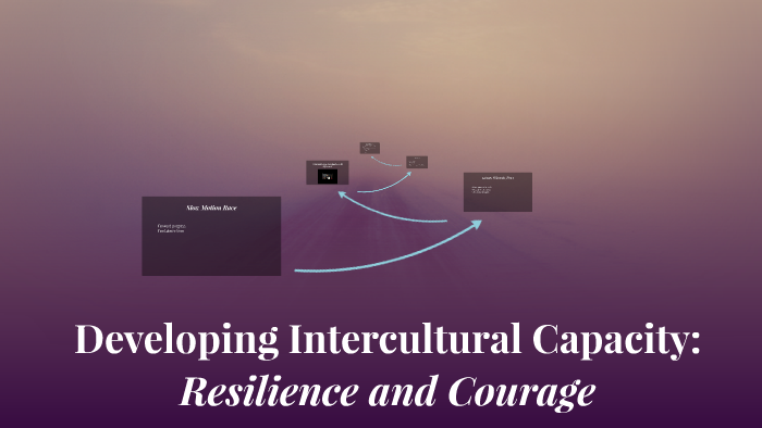 Developing Intercultural Capacity: Resilience and Courage by Annalisa ...