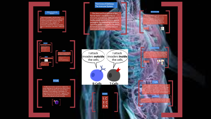 Third Line of Defense: The Immune System by Juan Herrera on Prezi