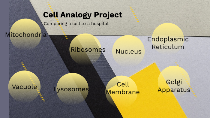 Cell Analogy Project by Thomas Newill on Prezi