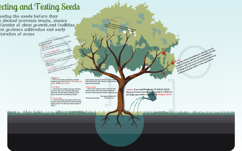 Securing and Testing Seeds by maimai dela Paz on Prezi