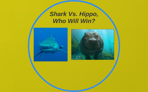 Shark Vs. Hippo by Emma Leedham on Prezi