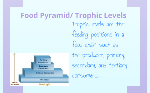 Sustainable Closed Environment by Jennifer Portillo on Prezi