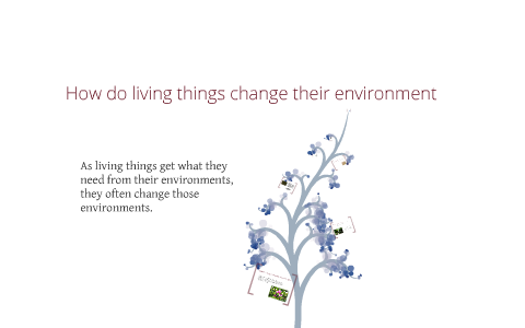 How do living things change their environment? by Cecilia Shang on Prezi