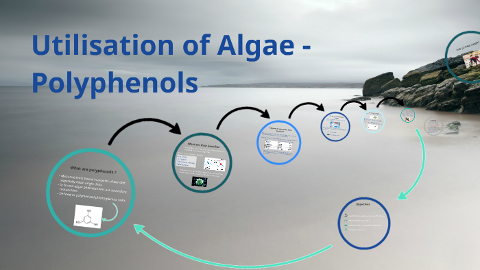 Utilisation of Algae - Polyphenols by Ryan Maidment on Prezi