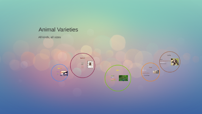 Animal Varieties by 99728341 99728341 on Prezi