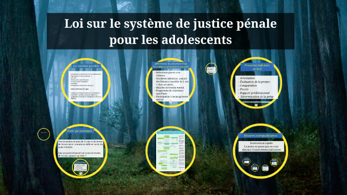 Loi sur le système de justice pénale pour les adolescents by isabelle ...