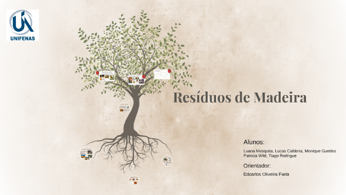 Resíduo de Madeira by luana lopes on Prezi