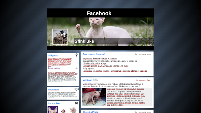 Sfinksas (katė) by Linda White