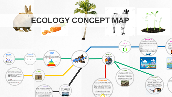 ECOLOGY by Navindra Persaud on Prezi