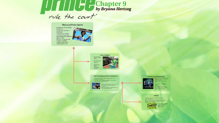 Chapter 9: Prince Sports by Bryana Hertzog